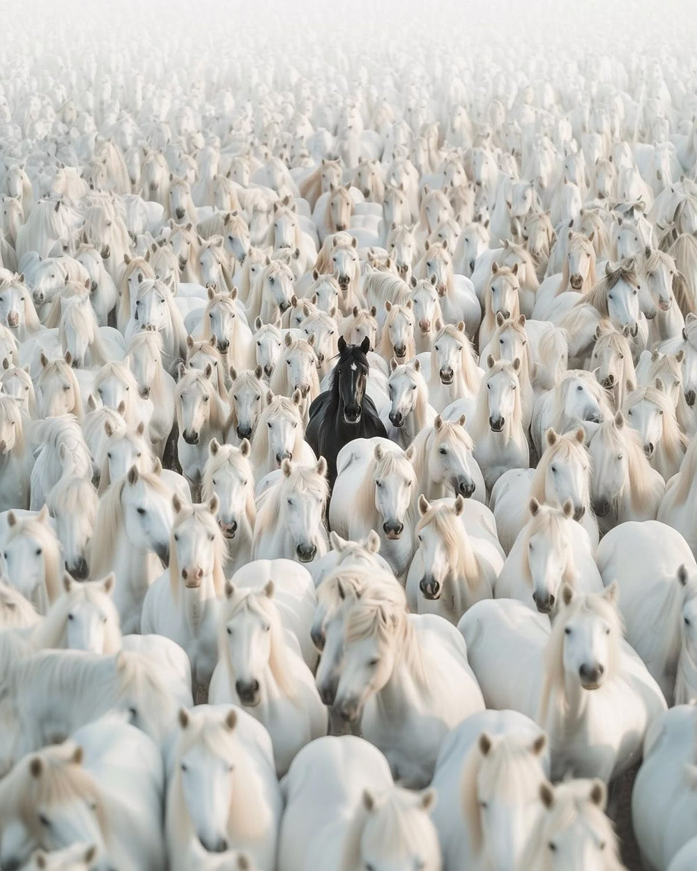 X-EYES SUNGLASS SHOP OFFICIAL SITE | NOTHING ORDINARY HERE, XEYES CULT